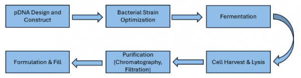 Challenges and Regulatory Requirements in Plasmid DNA Manufacturing ...